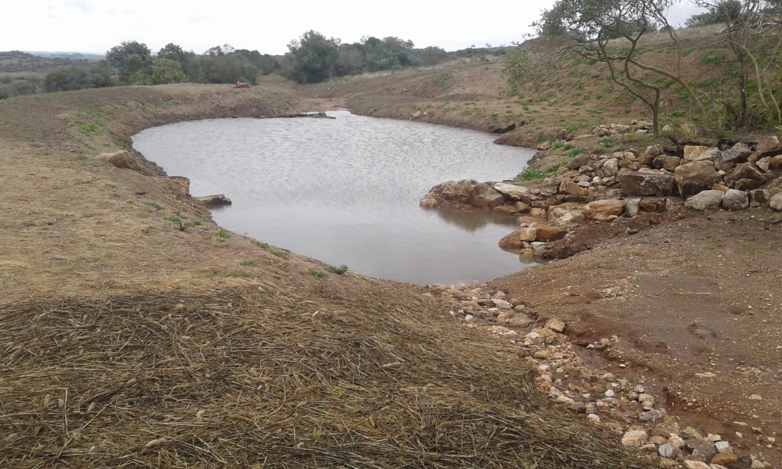 Water Credits Project Showcase